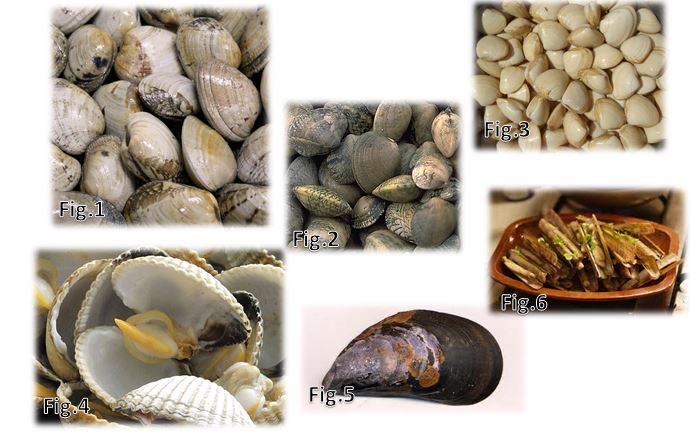 Produtos disponíveis :: Mariscolandia